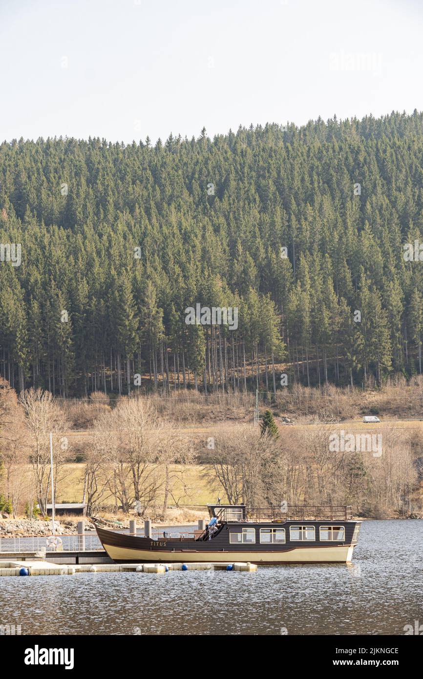 A vertical shot of a ship on the background of the Black Forest in ...