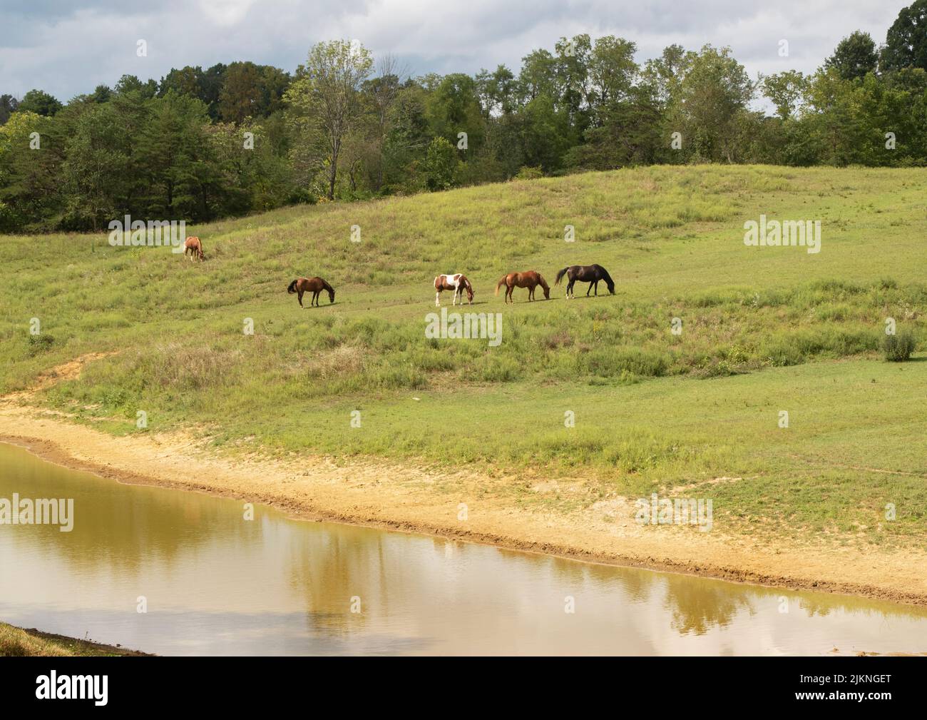 Pulaski va hi-res stock photography and images - Alamy