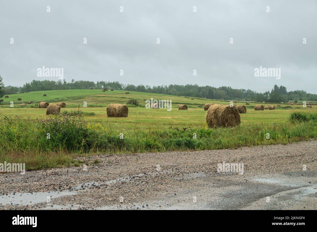 Hay rolls hi-res stock photography and images - Alamy