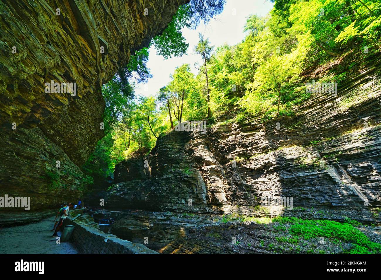 A beautiful shot of Seneca Creek State Park Stock Photo - Alamy