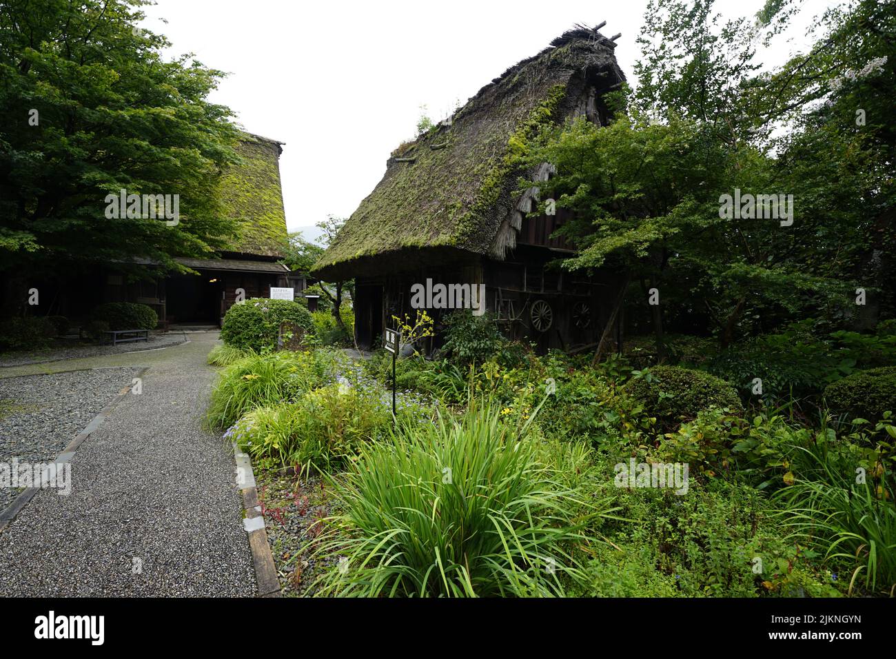 An old Japanese farm house surrounded by lush greenery Stock Photo - Alamy