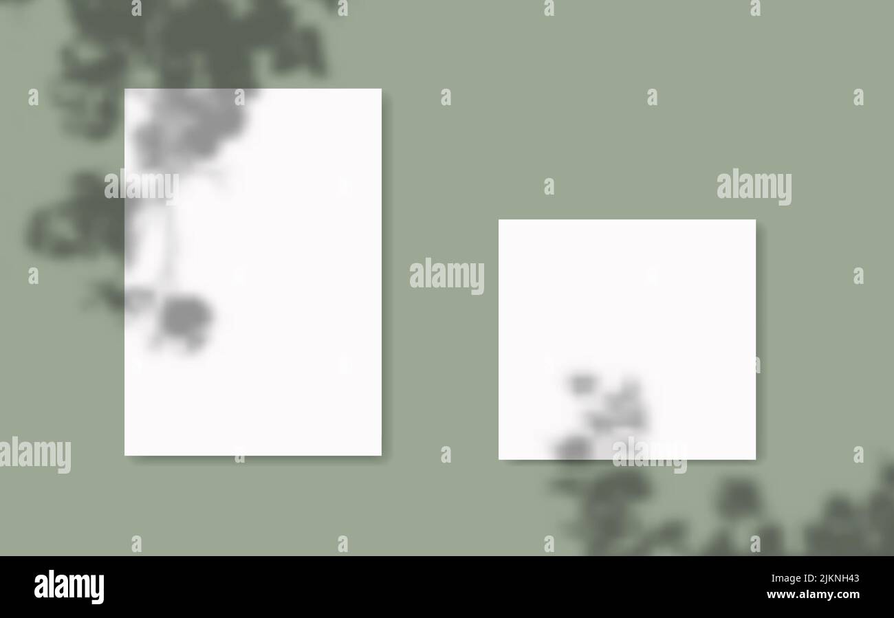 Modern minimalist style.Scenes of natural lighting.For presentation ...