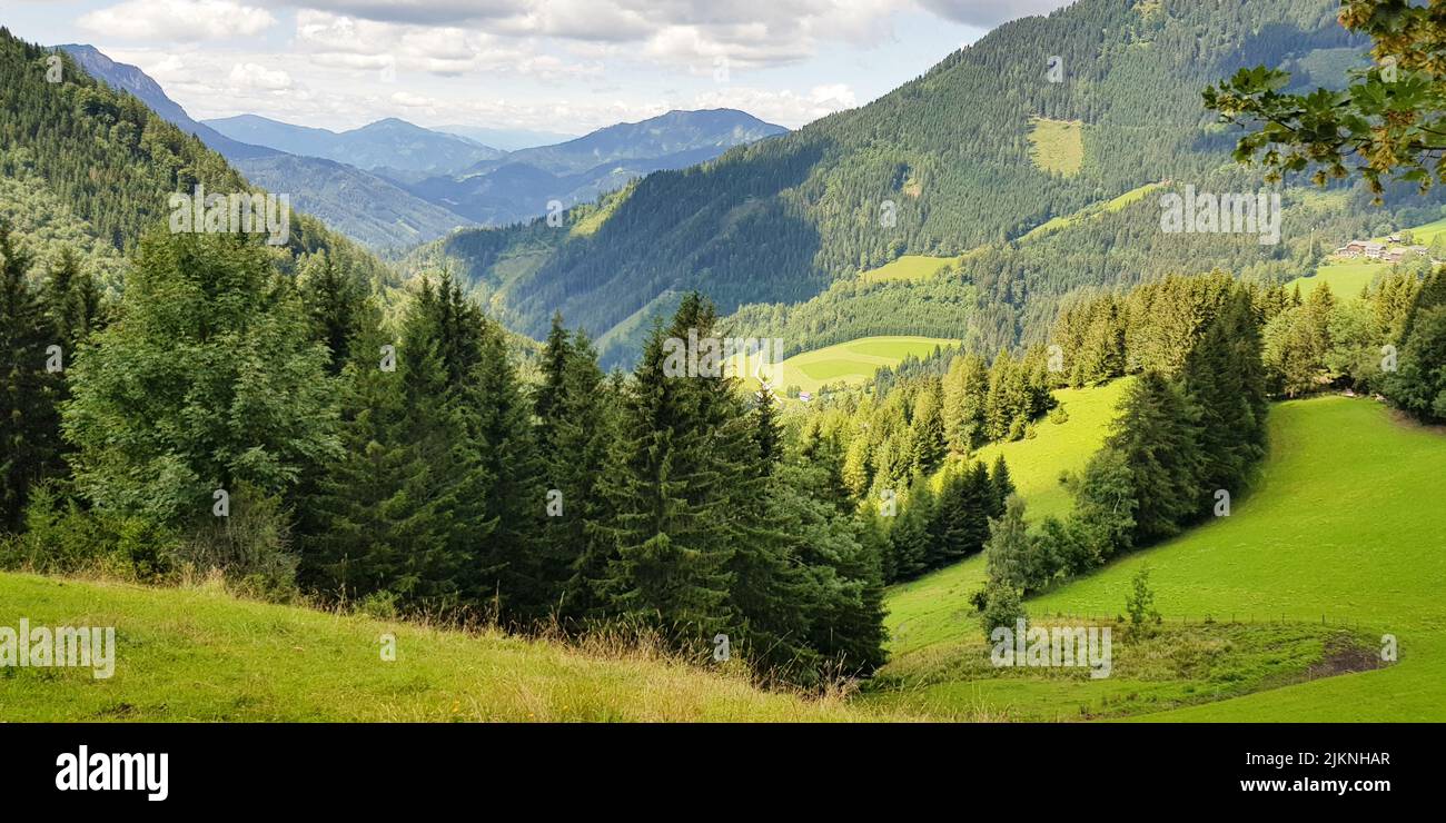 A bright summer day in the countryside with lush greenery covering the ...