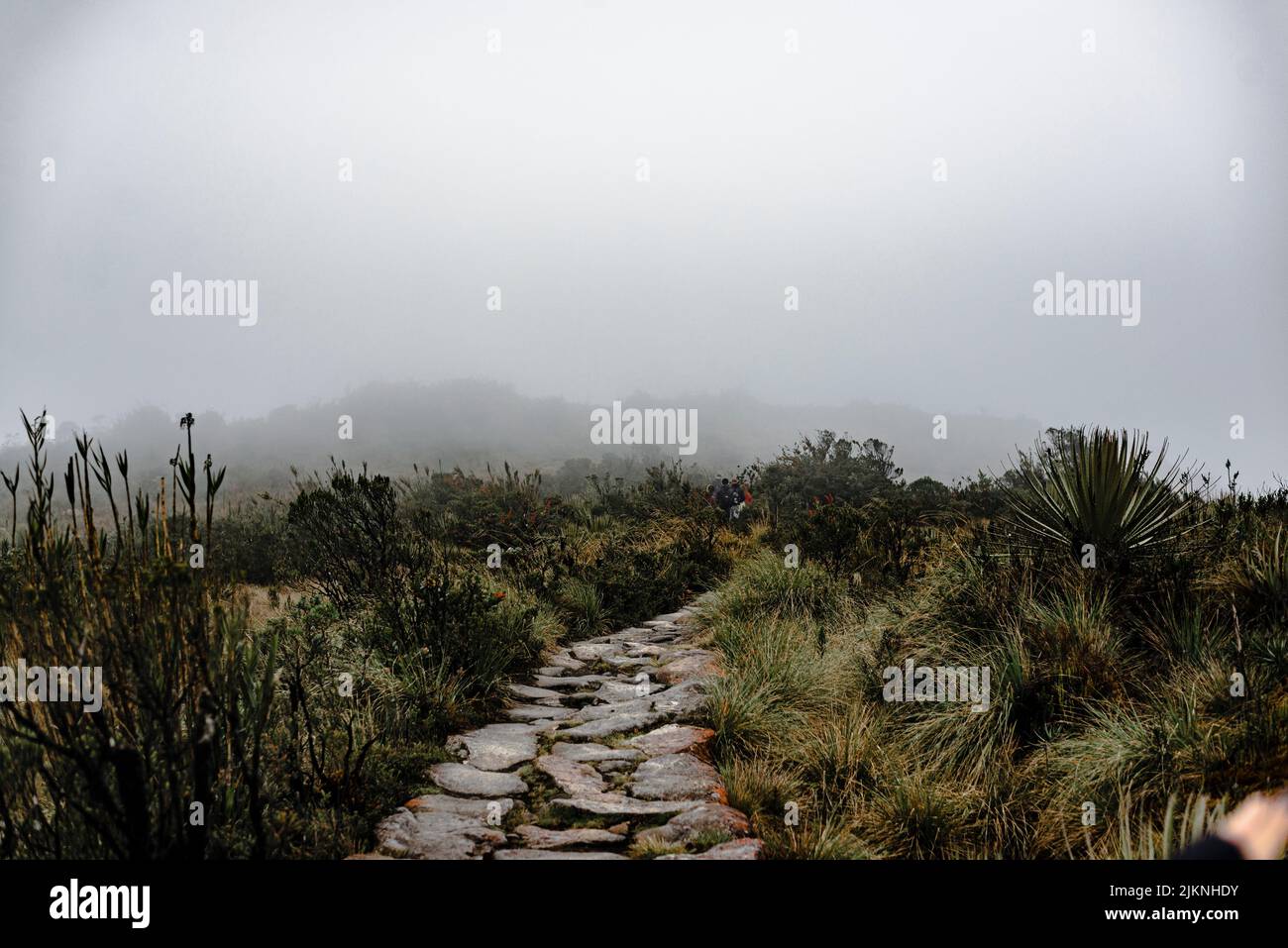 Inca way hi-res stock photography and images - Alamy