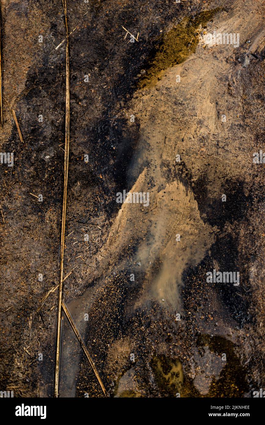 Vertical shot wet soil hi-res stock photography and images - Alamy