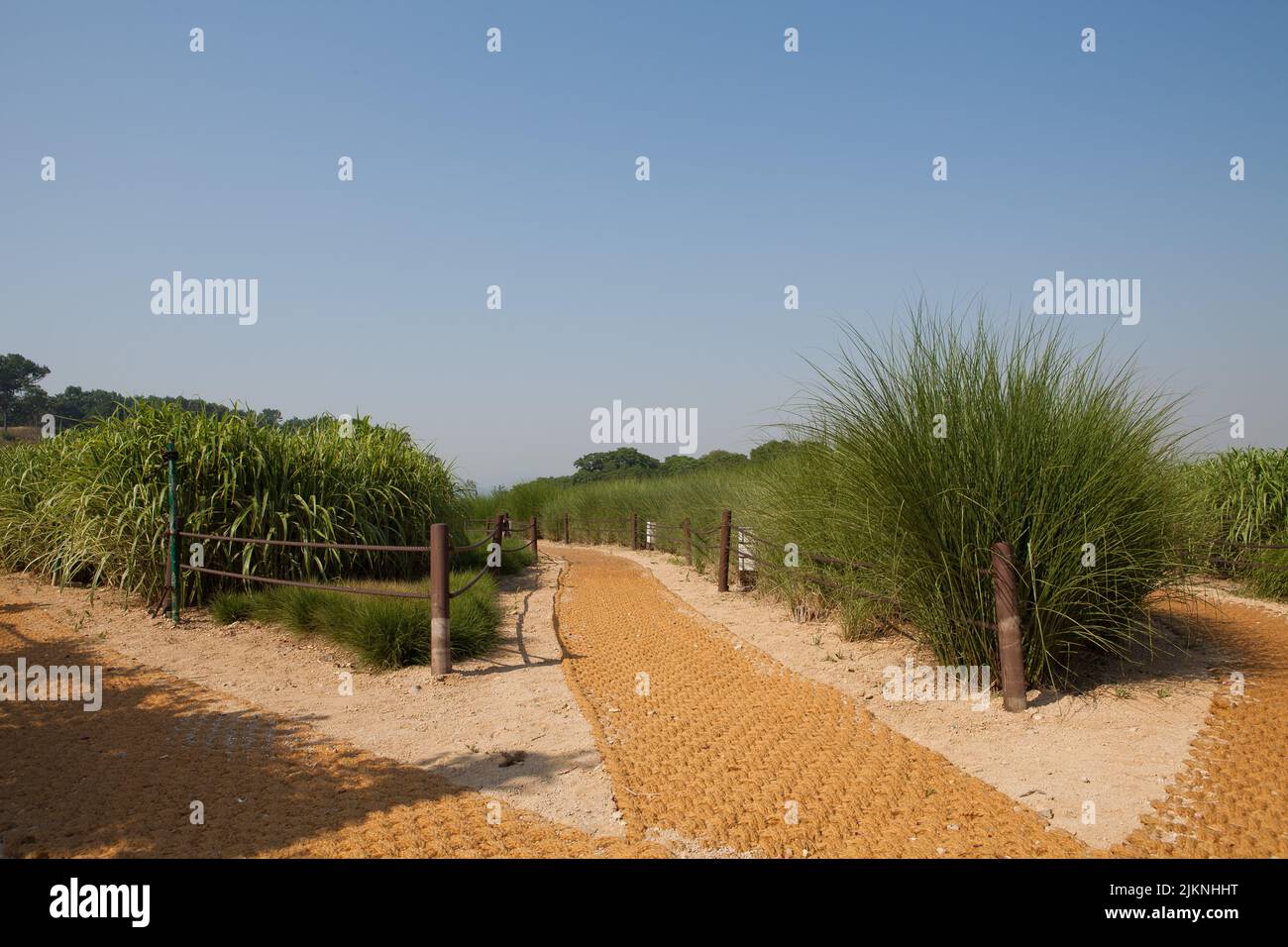 A walking path divided into three sections Stock Photo - Alamy