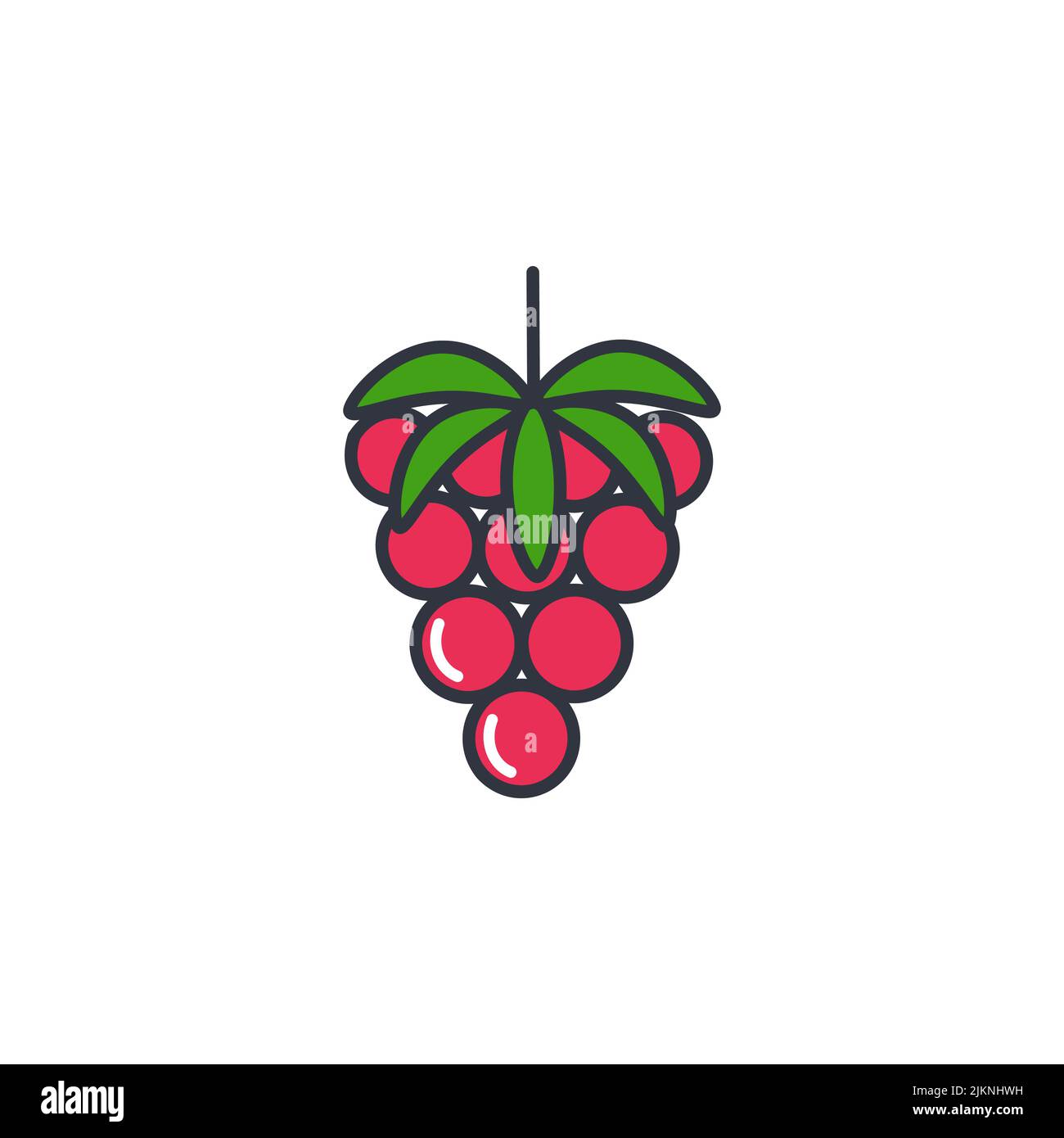 Raspberry color line icon vector illustration. Simple image single ...