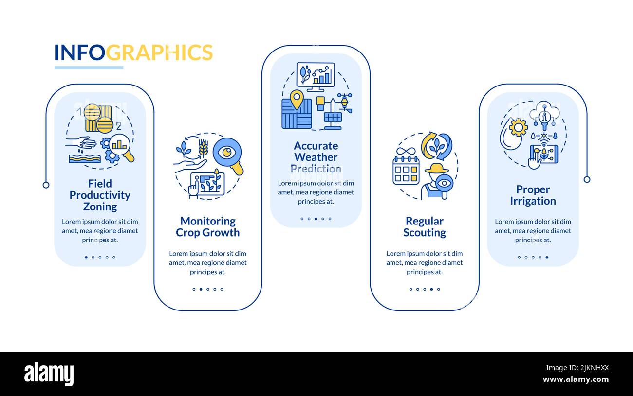 Increased crop yield factors blue rectangle infographic template Stock ...