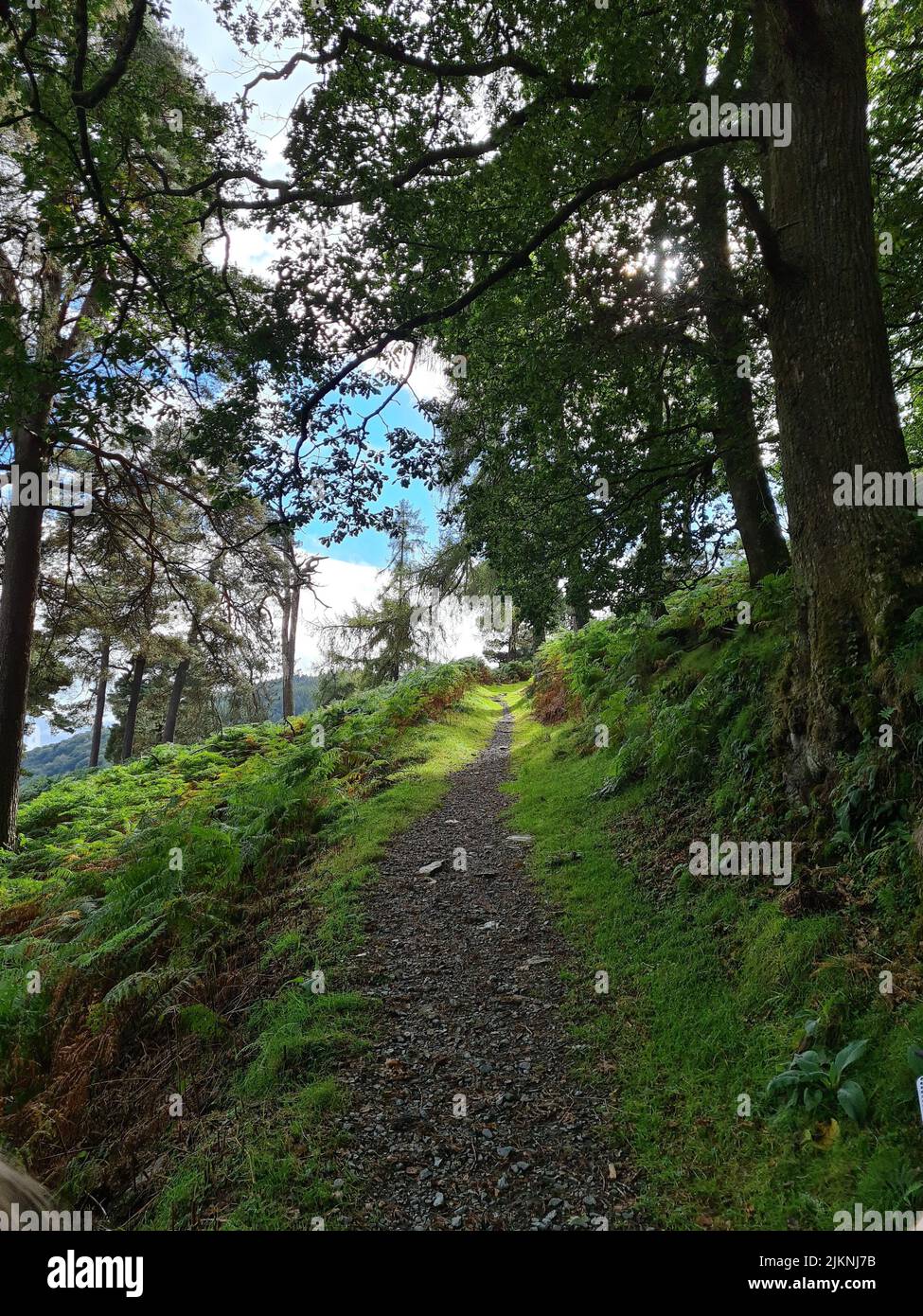 Forest adventure and nature trail hi-res stock photography and images ...