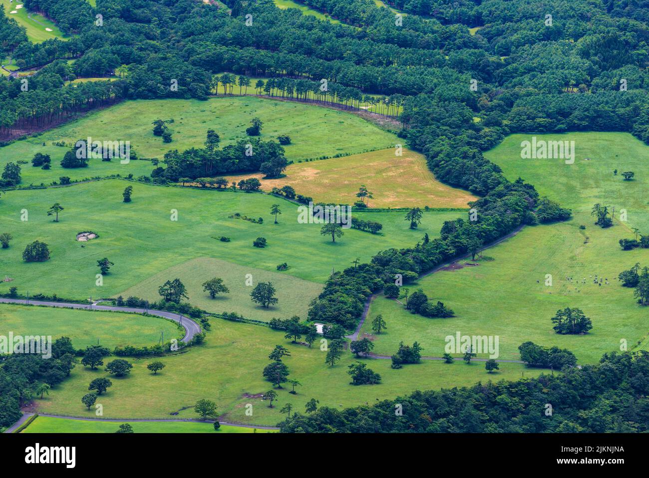 Trees dot grassy fields in gently rolling landscape Stock Photo - Alamy