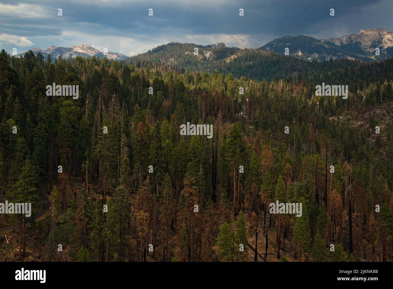 Kings canyon and sequioa national park hi-res stock photography and ...