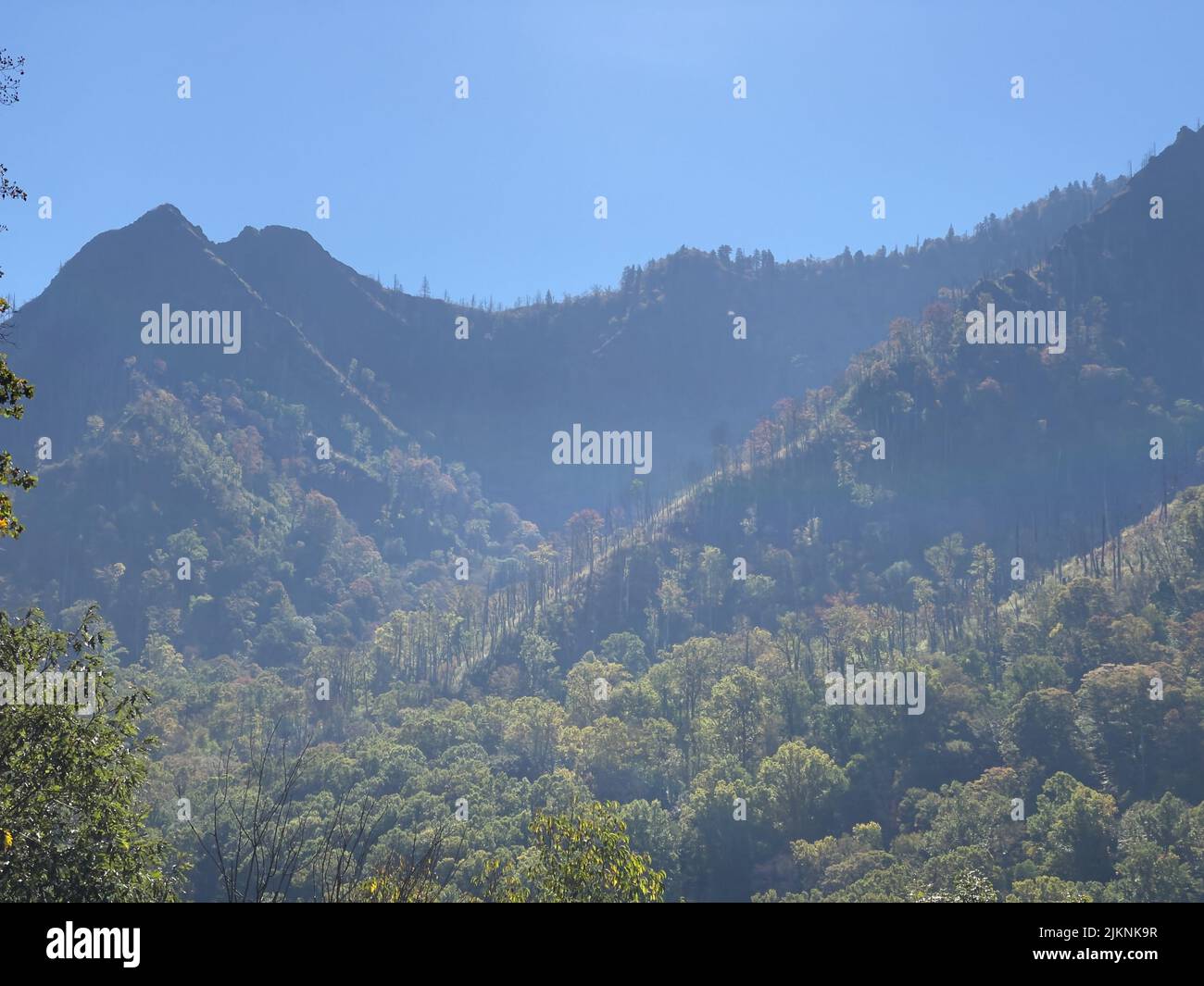 An aerial view of forested mountains Stock Photo - Alamy