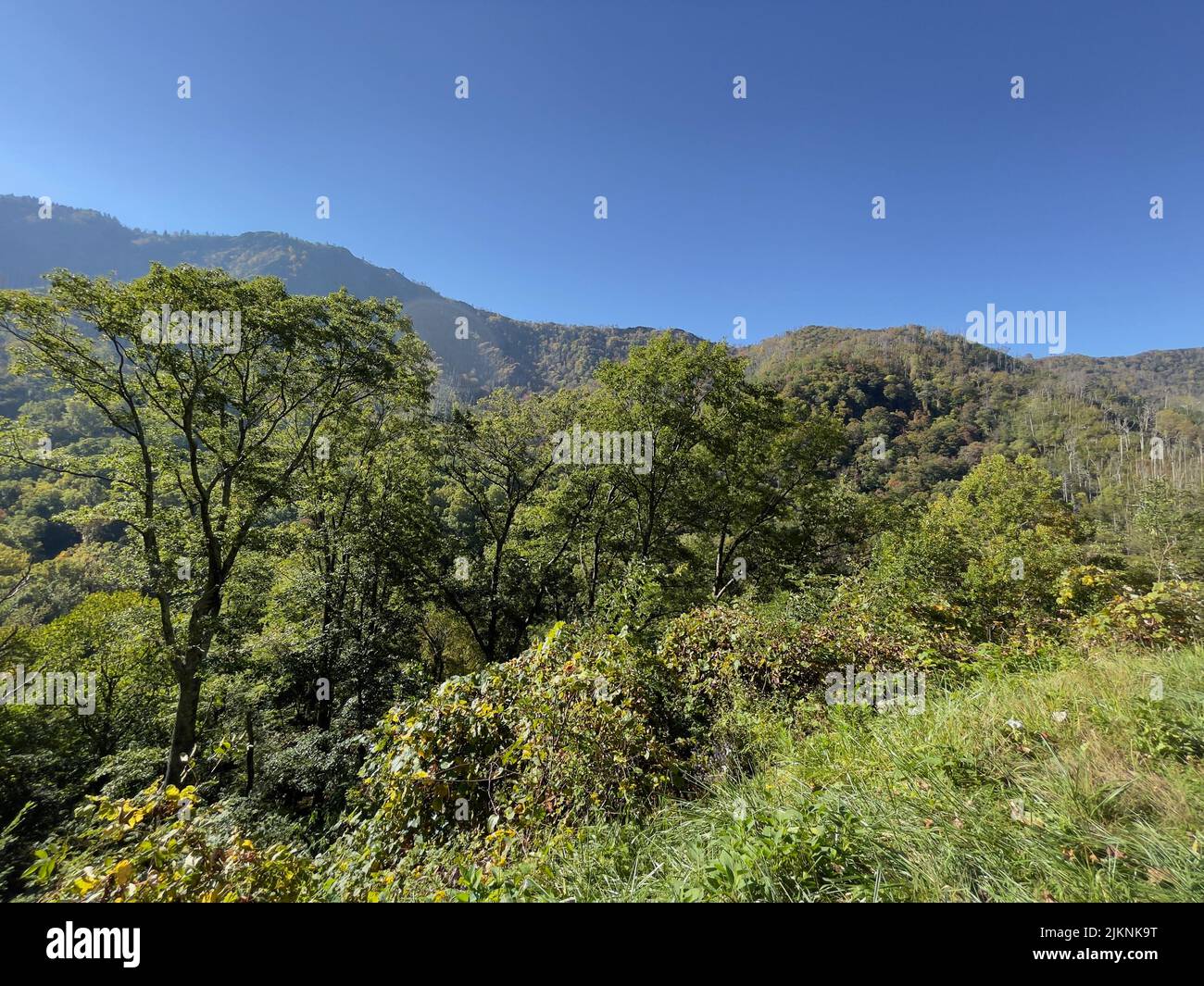 An aerial view of forested mountains Stock Photo - Alamy