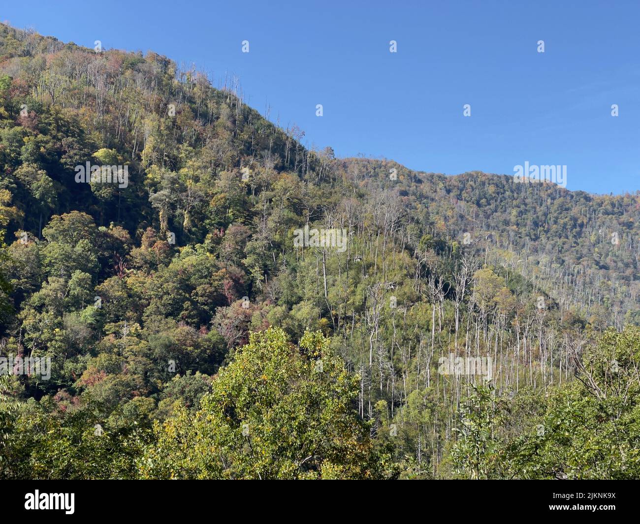 An aerial view of forested mountains Stock Photo - Alamy