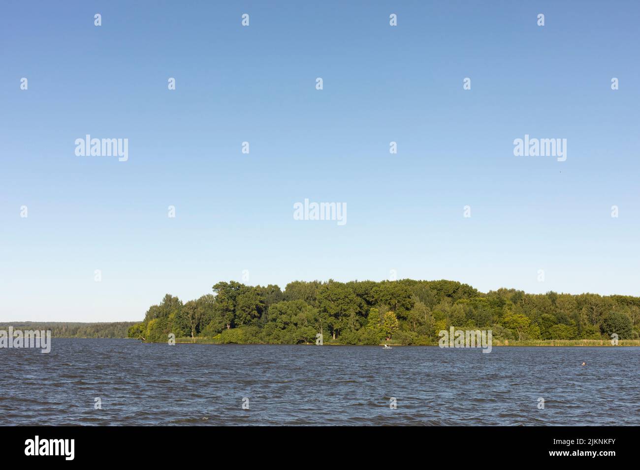 Lake in summer. Large lake and forest on horizon. Water landscape ...