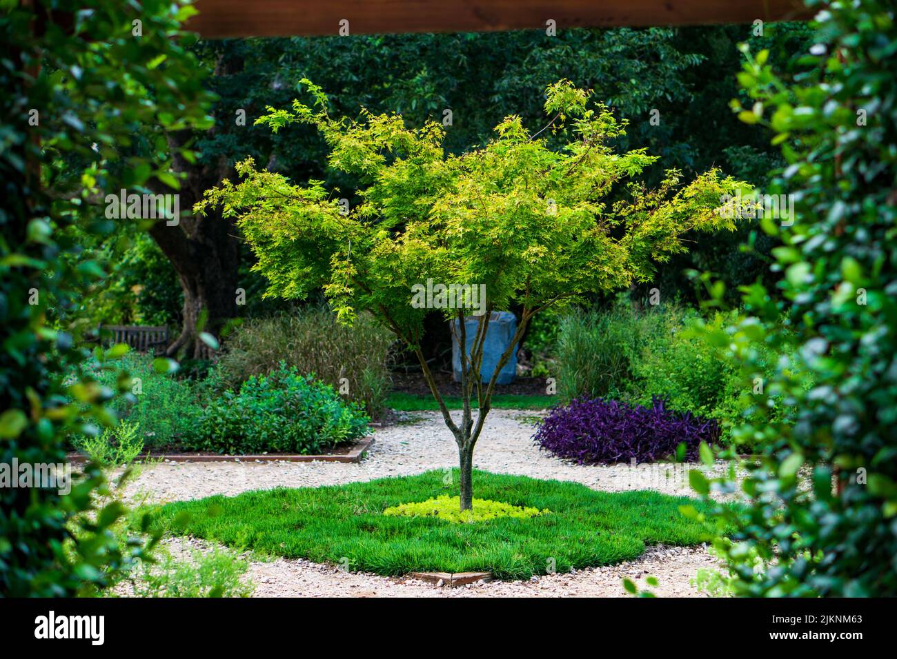 Tree in middle garden hi-res stock photography and images - Alamy