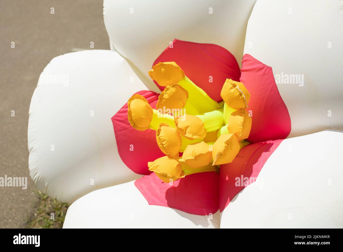 Inflatable flower. Decoration of holiday. Rubber flowers. Details of ...