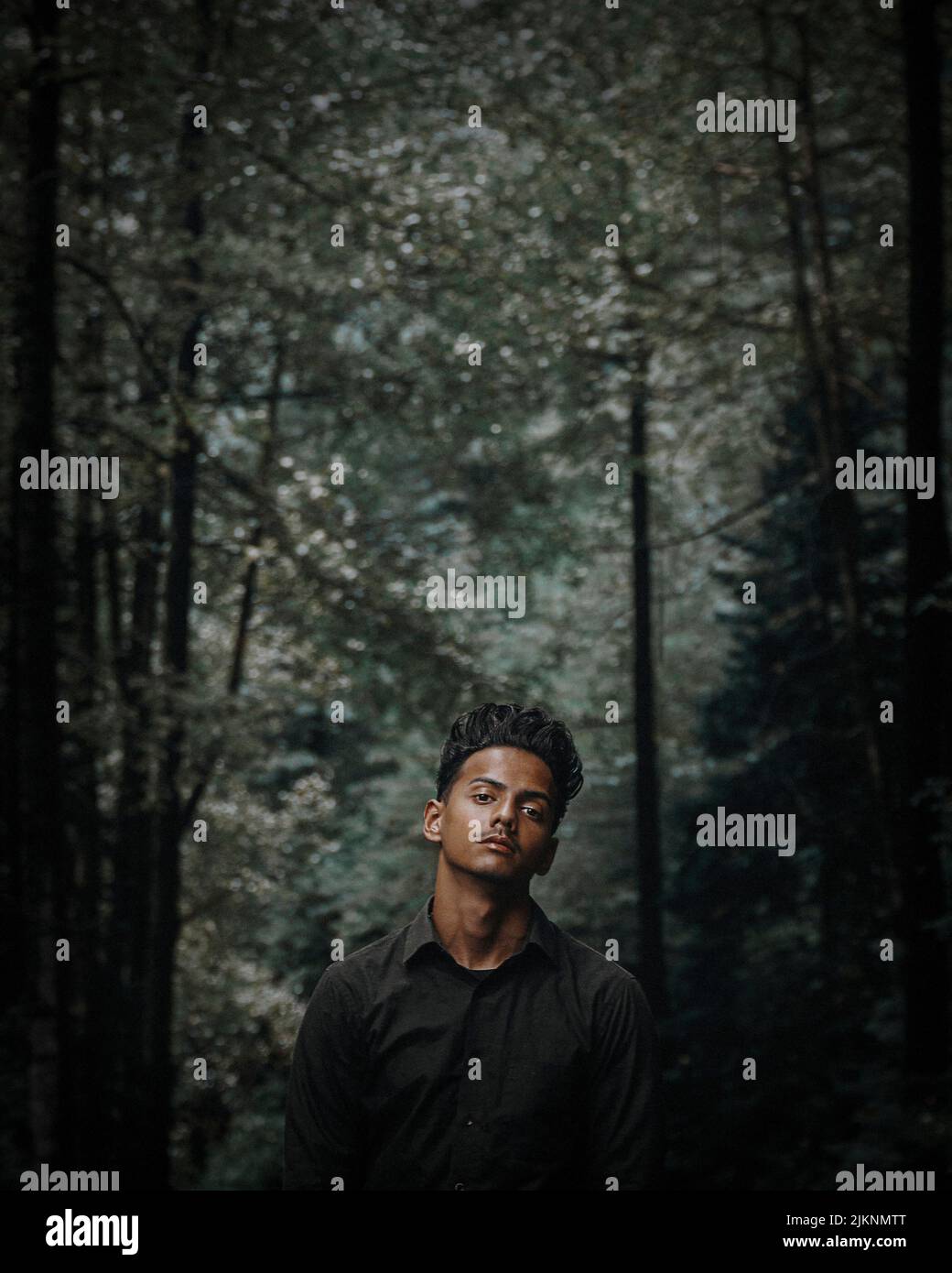 Indian forest green nature hi-res stock photography and images - Alamy