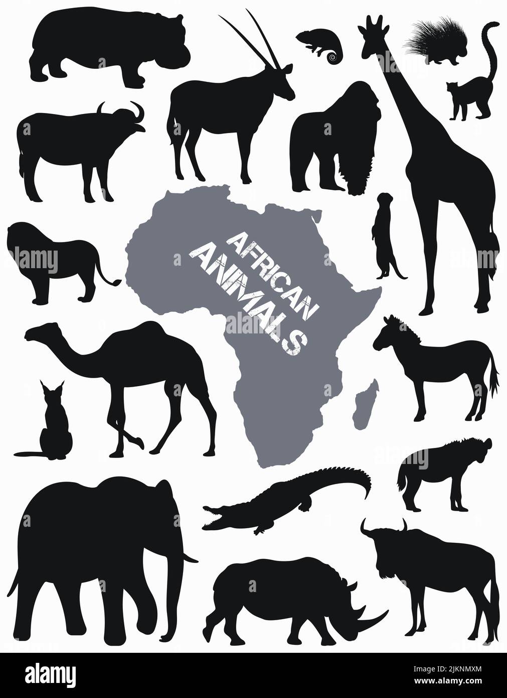 Collection with flat silhouettes of African animals Stock Vector Image ...