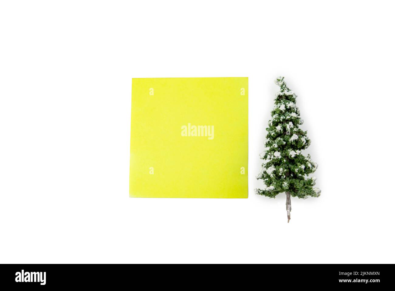 Empty yellow notes and snowy little pine trees are isolated over white ...