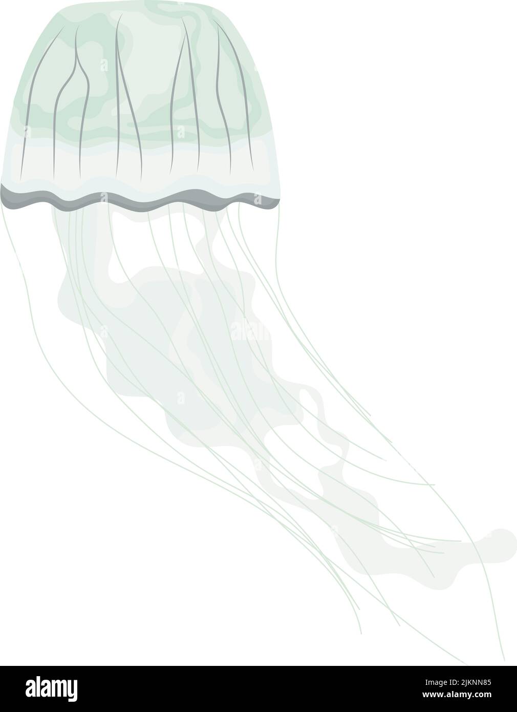 moon jellyfish icon Stock Vector Image & Art - Alamy