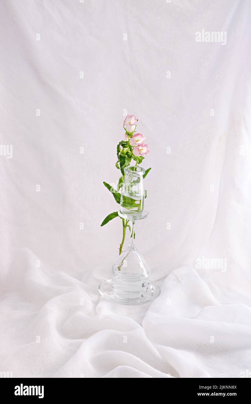 A vertical shot of a bouquet of eustomas in the vase Stock Photo - Alamy