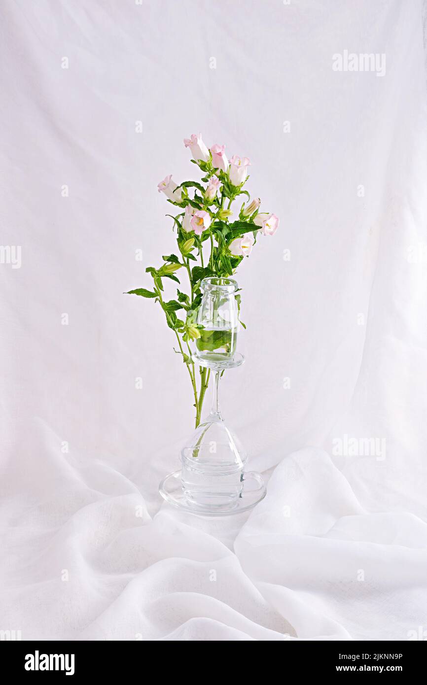 A vertical shot of a bouquet of eustomas in the vase Stock Photo - Alamy