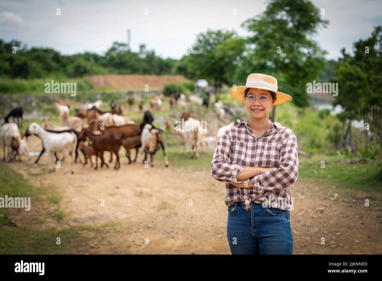 Female Woman worker posing on a Goats dairy farm out door ranch a farm ...