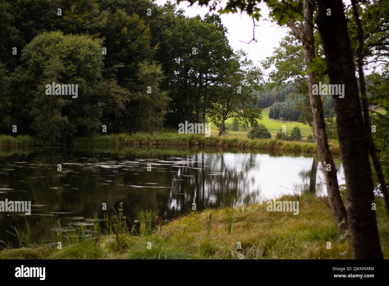 A lake in the forest in Denmark during the daytime Stock Photo - Alamy