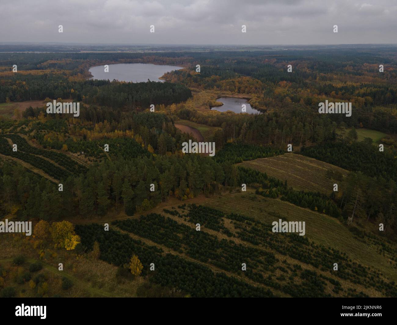 Aerial shot park lakes forest hi-res stock photography and images - Alamy