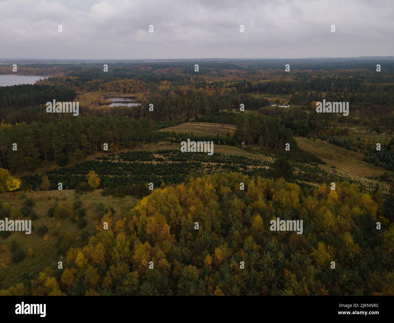 Aerial shot park lakes forest hi-res stock photography and images - Alamy