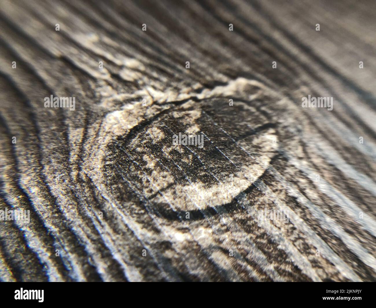 Wood background texture. Close-up image of the wooden wallpaper design ...