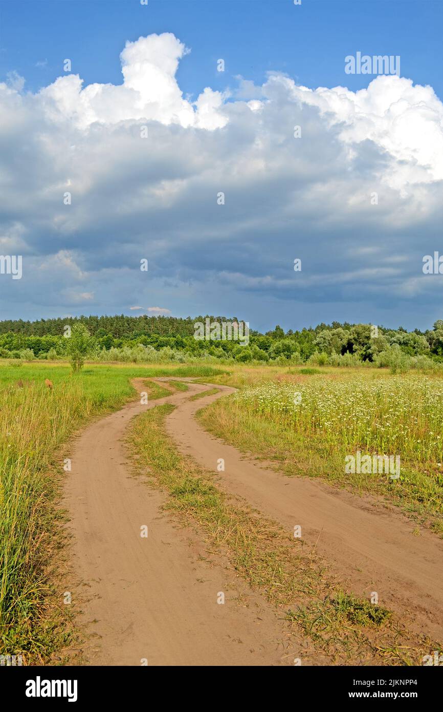 ground zigzag road in the meadow before thunderstorm, blue sky with ...