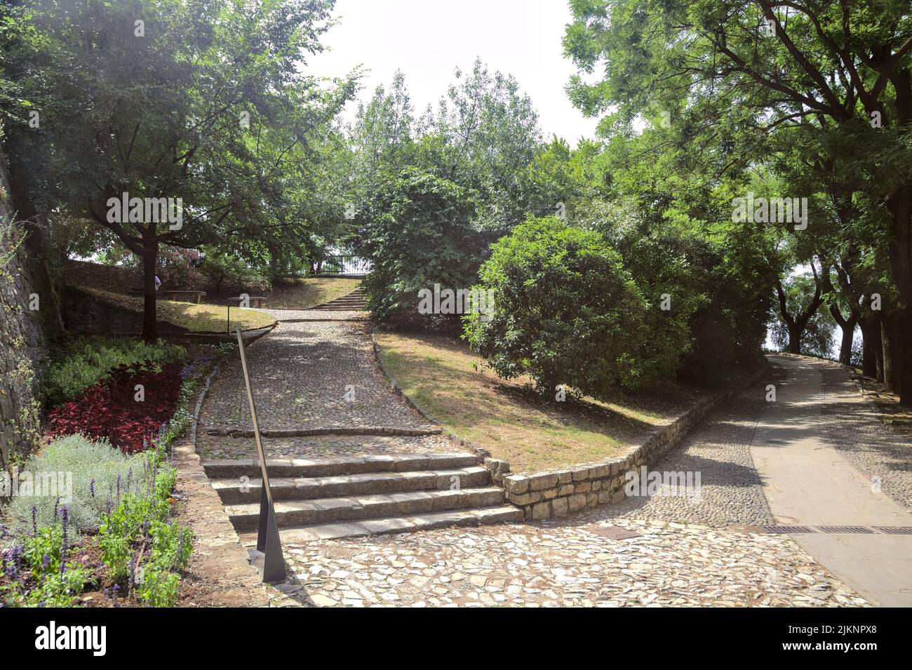 Steps leading to benches in a park on a sunny day Stock Photo - Alamy