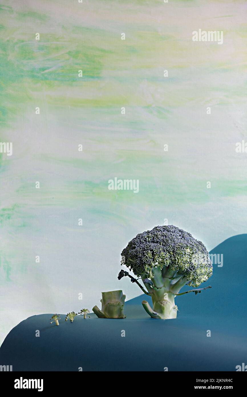 A vertical closeup of green broccoli growing evolution on a green ...