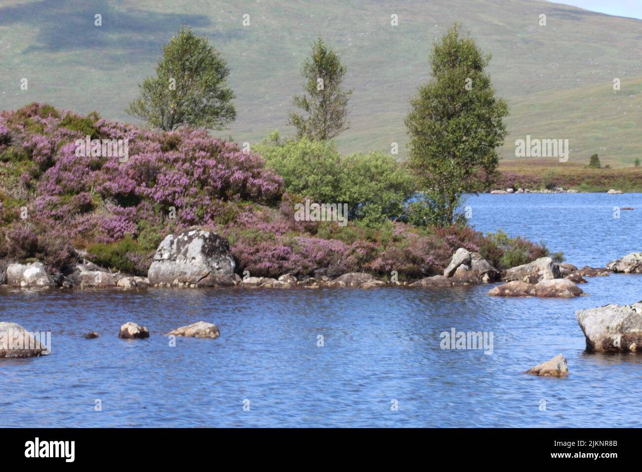 Flora island hi-res stock photography and images - Alamy