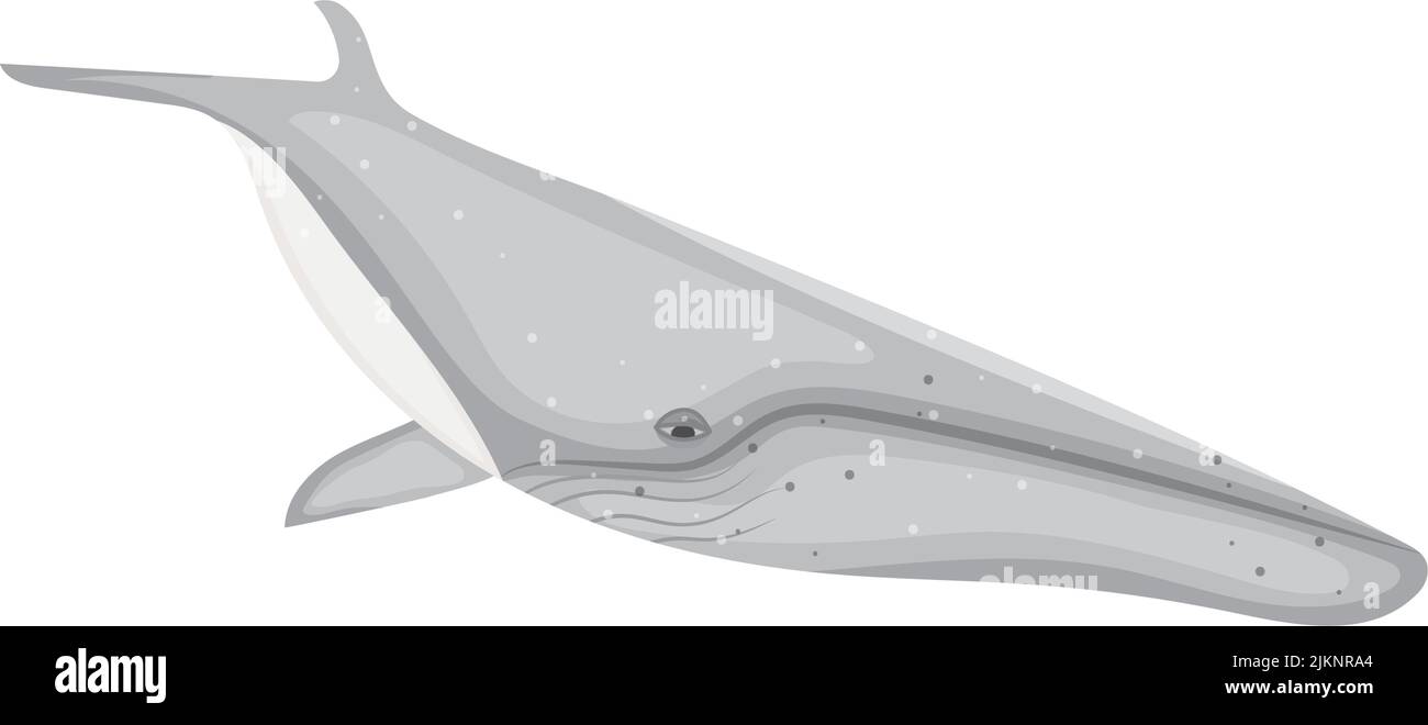 gray whale icon Stock Vector Image & Art - Alamy