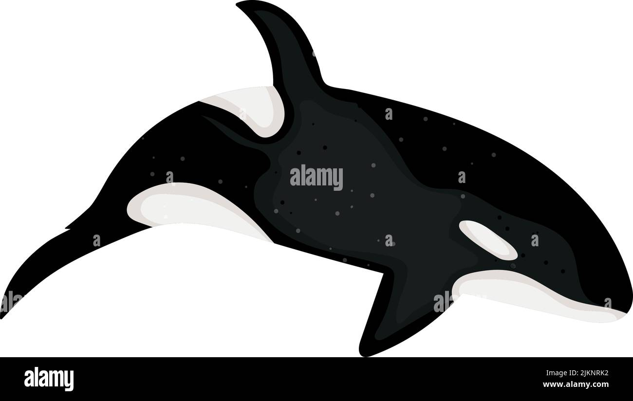 killer whale icon Stock Vector Image & Art - Alamy