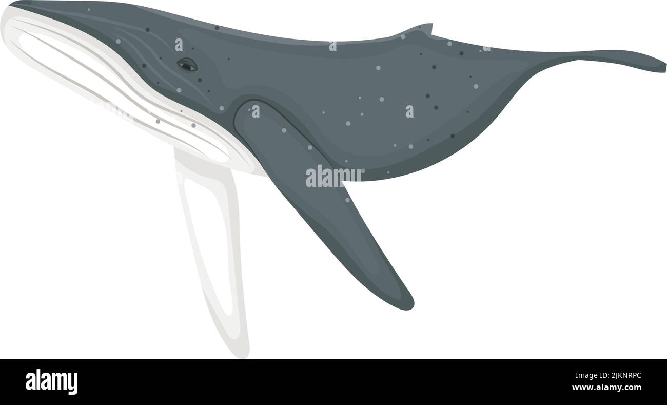 cute whale icon Stock Vector Image & Art - Alamy