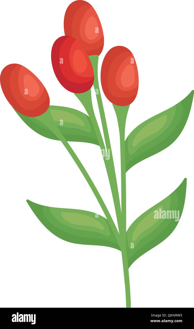 Goji berries Stock Vector Images - Alamy