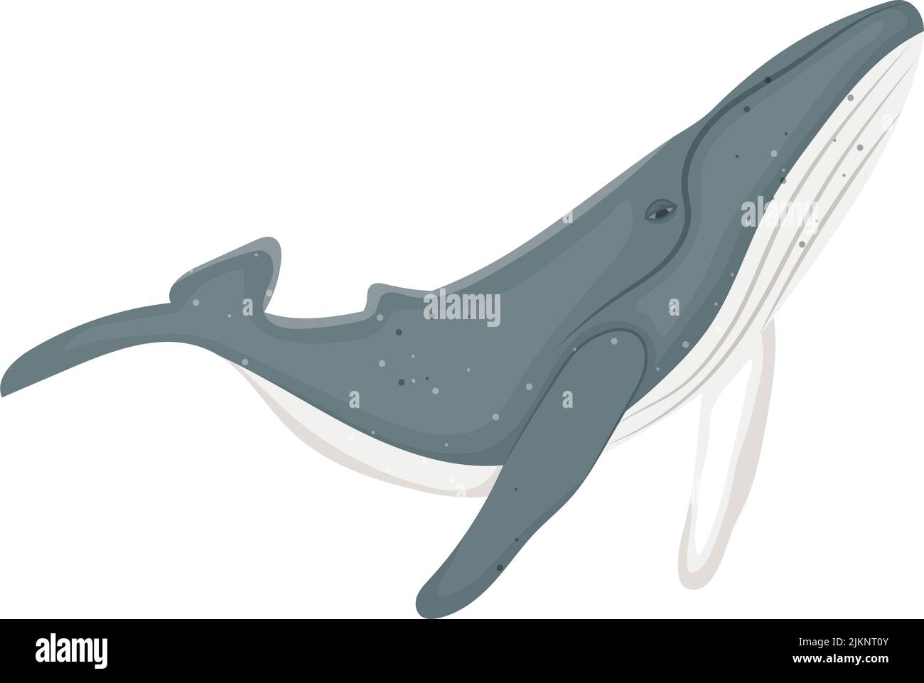 cartoon whale icon Stock Vector Image & Art - Alamy