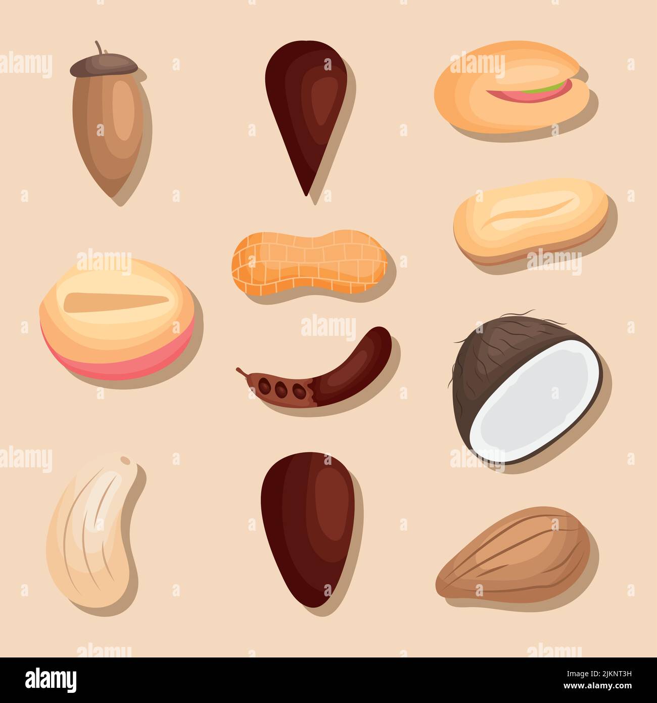 superfood nuts icon set Stock Vector Image & Art - Alamy