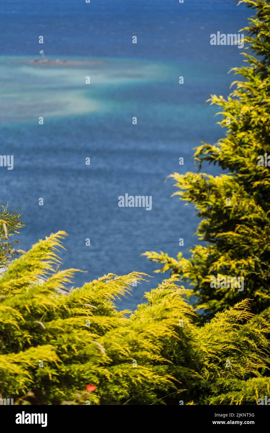 Blue trees nature wallpaper hi-res stock photography and images - Alamy