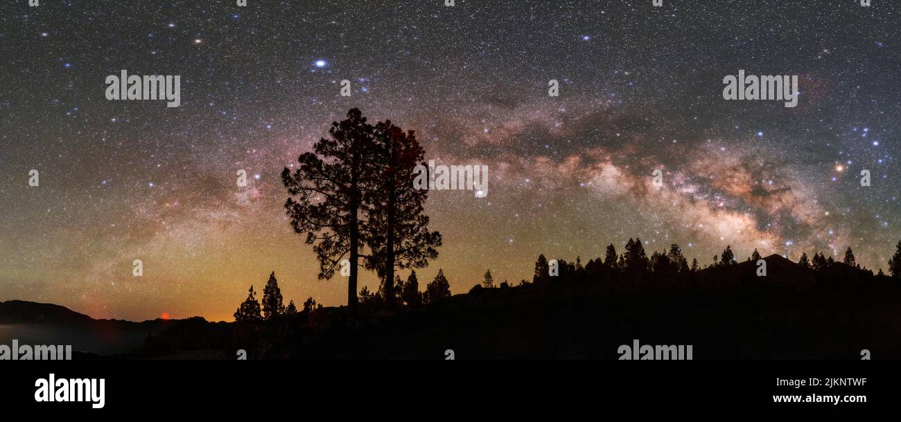 Milky Way over pine trees, La Palma, Canary Islands Stock Photo - Alamy