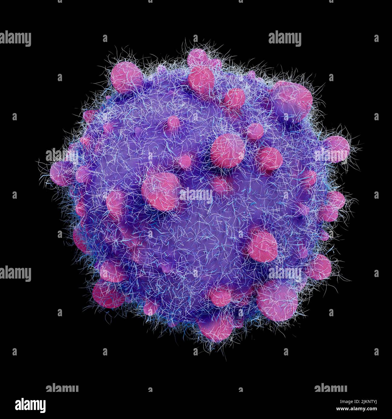 Pancreatic cancer cell, illustration Stock Photo - Alamy
