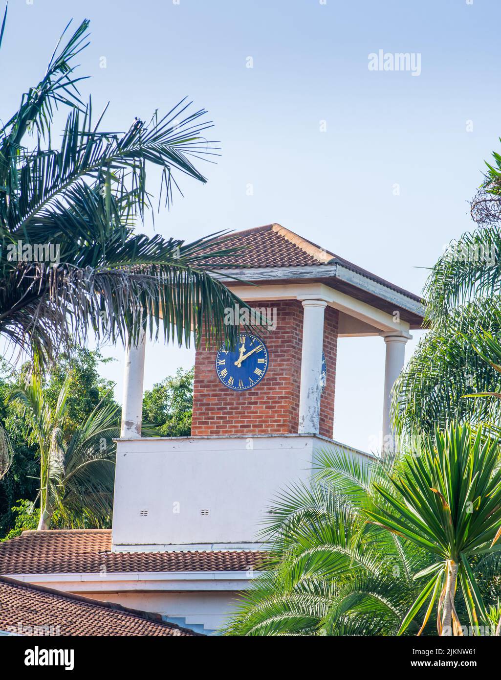 A beautiful Clock tower at a school surrounded by tropical trees in ...