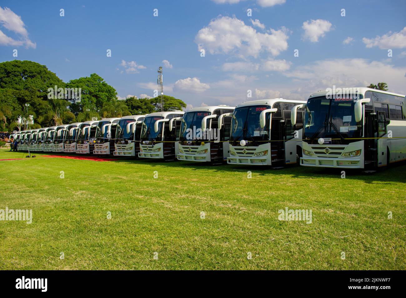 A white big buses standing next to each other in the field behind the ...