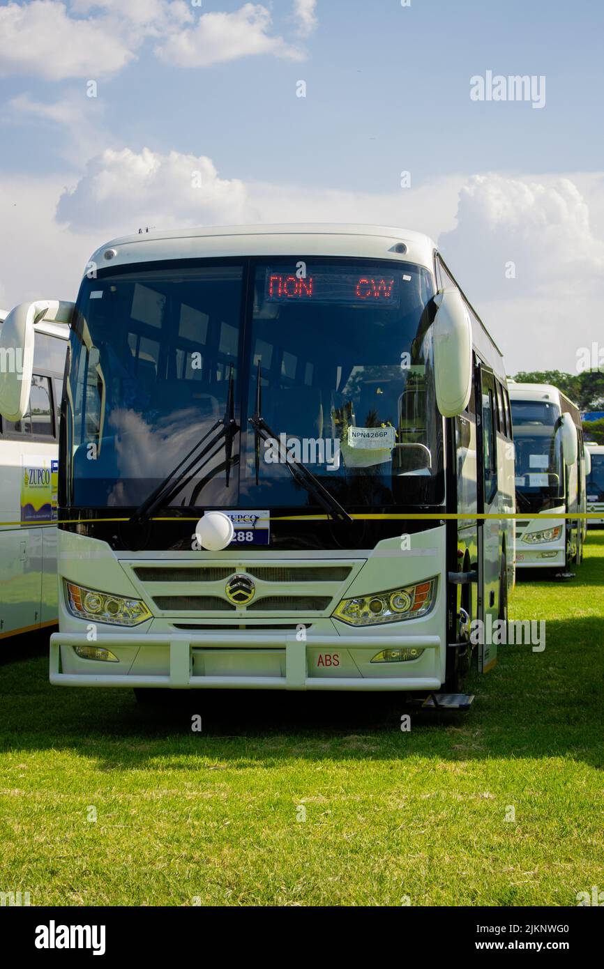 A vertical shot of a white big bus standing next to another buses in ...