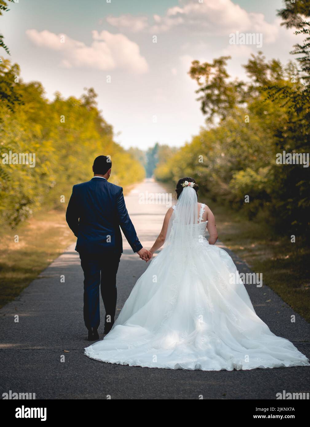 A vertical back view of the bride and the groom walking holding hands ...