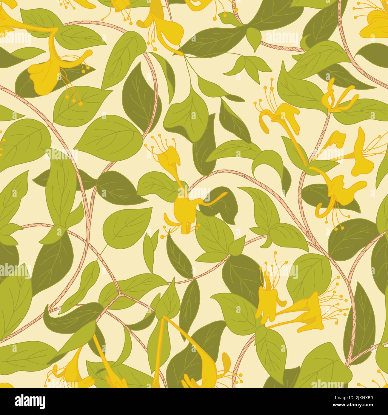 Blooming honeysuckle seamless pattern. Plant background for fashion ...